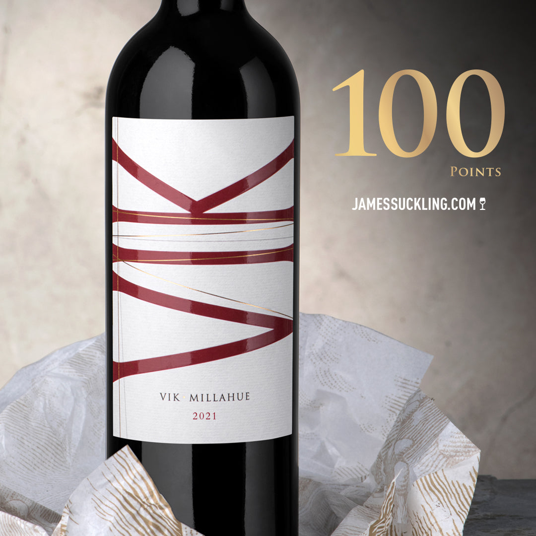 VIK 2021 - 750 ml – VIK Brasil